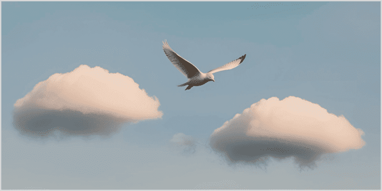 How to Start Triangle Composition in Photography